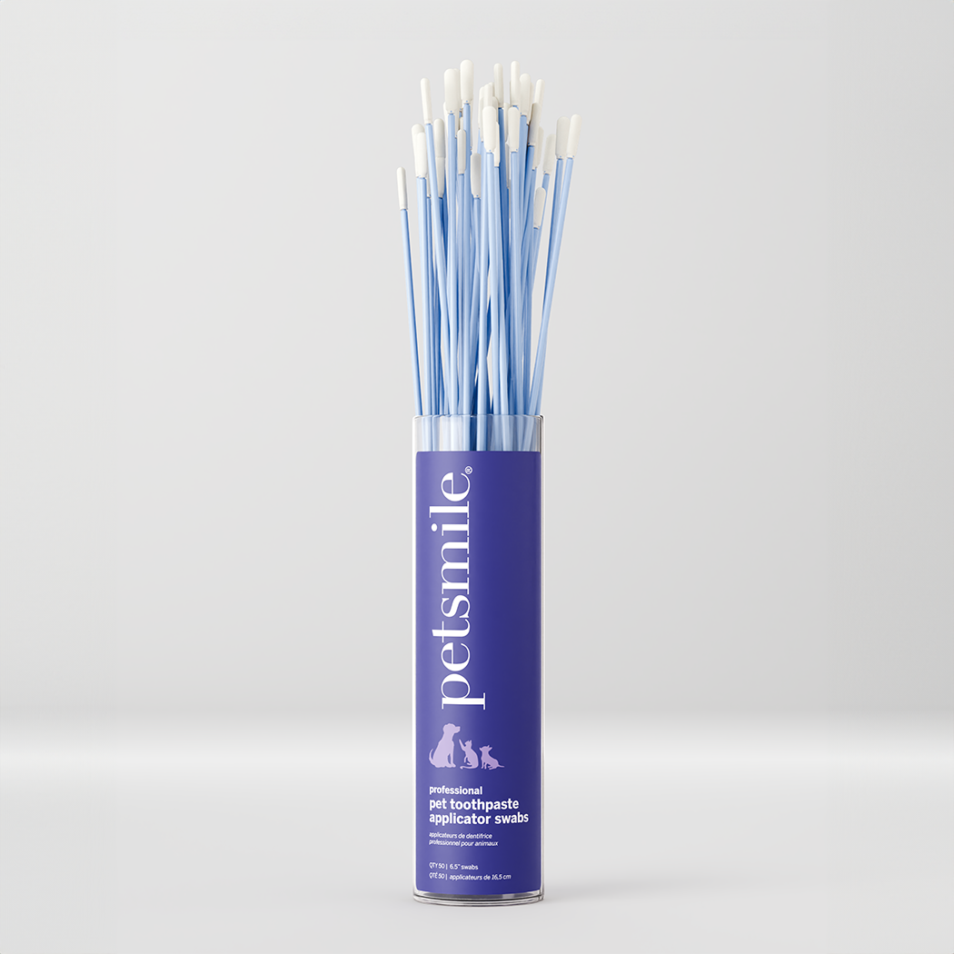 Professional Toothpaste Applicator Swabs – Le Chien Bleu NY